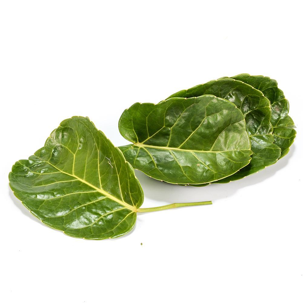 Koppa Kola (Wild Shield Aralia) – farmfreshlk